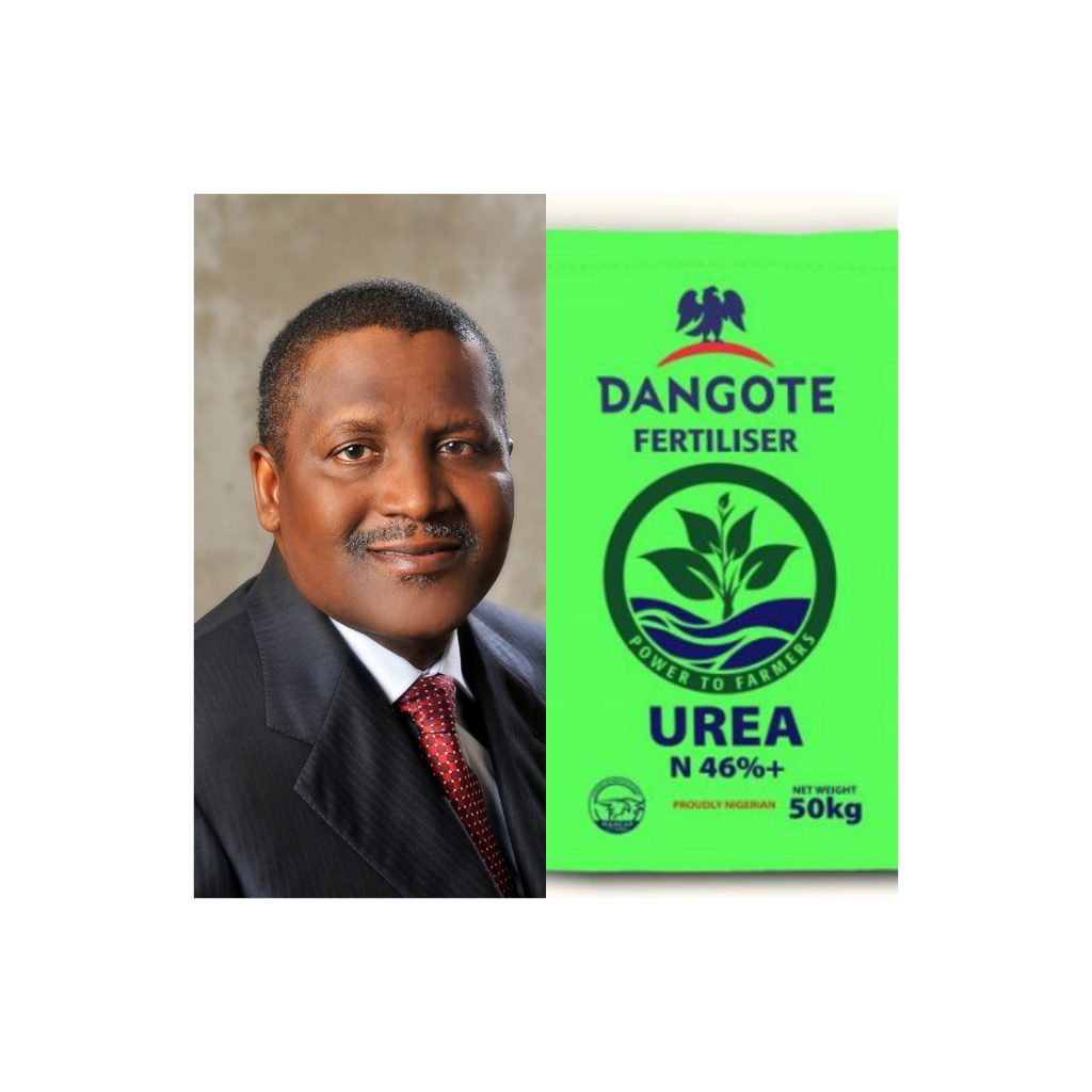 Dangote Fertiliser Set To Train One Million Farmers | NATIONAL WAVES